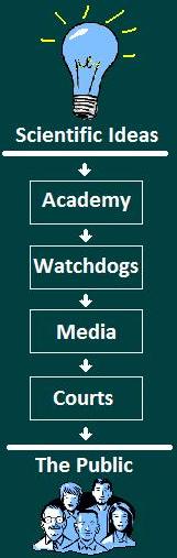 The Evolution of “Ida”: Darwinius masillae Fossil Downgraded From ...