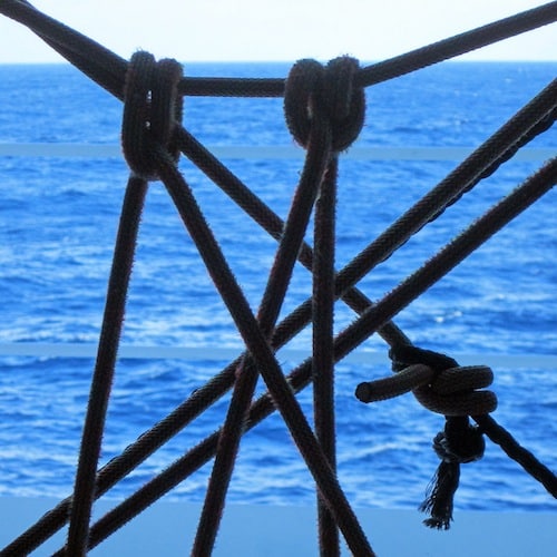 Duly Knotted: A Problem for Evolution | Science and Culture Today