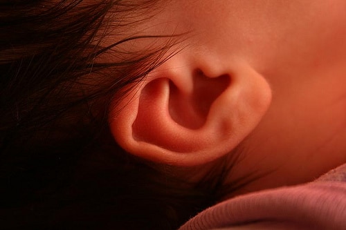 Our Ears Are Amazing! They Must Have Evolved | Science and Culture Today
