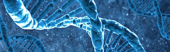 A Big Problem for Common Descent: Hundreds of "Active ‘Foreign’ Genes ...