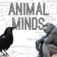 Animal Minds: In Search of the Minimal Self | Science and Culture Today