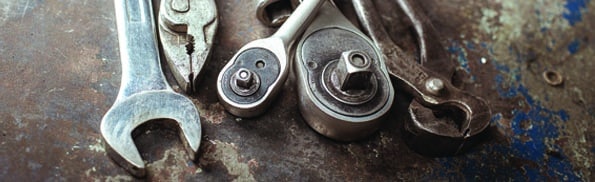 Internal Constraints vs. External Pressures: The Revelations of Evo ...
