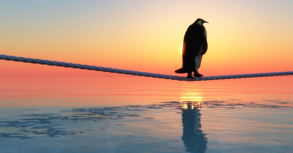 Recognizing Life Is Different from Natural Processes, Science Balances ...