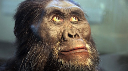 The Human-Ape “Missing Link” — Still Missing | Science and Culture Today
