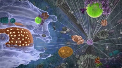 Surprises in Cell Codes Reveal Information Goes Far Beyond DNA ...