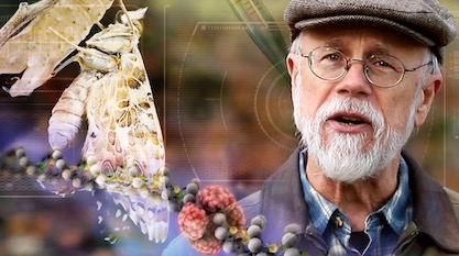 Darwin Day Is Here! Discover the Cell’s Secrets with Michael Behe | Science and Culture Today