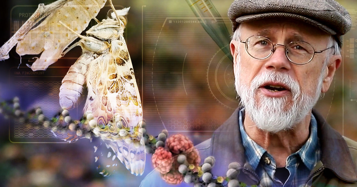 Behe’s Latest Gives the Lie to Critics’ Accusation | Science and ...