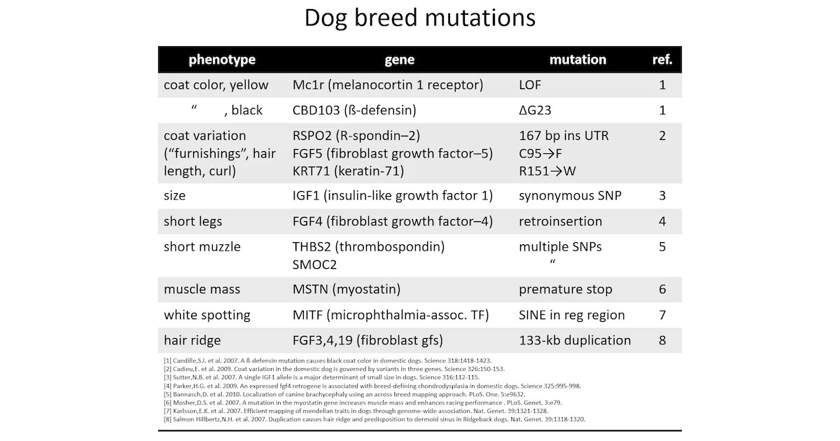 Judge Michael Behe’s Case for Intelligent Design Yourself | Science and ...