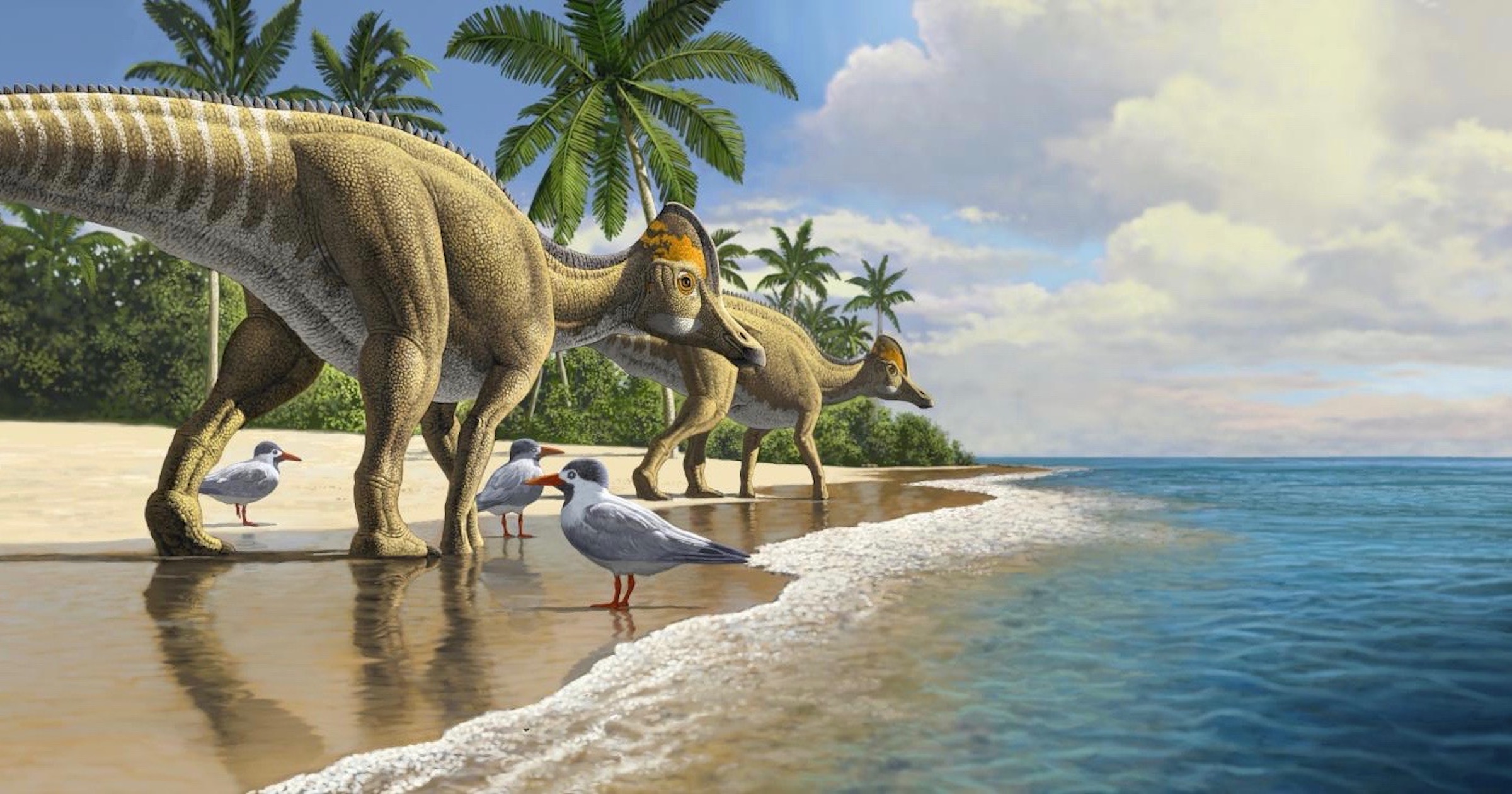 More Just-So Rafting Stories: This Time, Dinosaurs | Science and ...