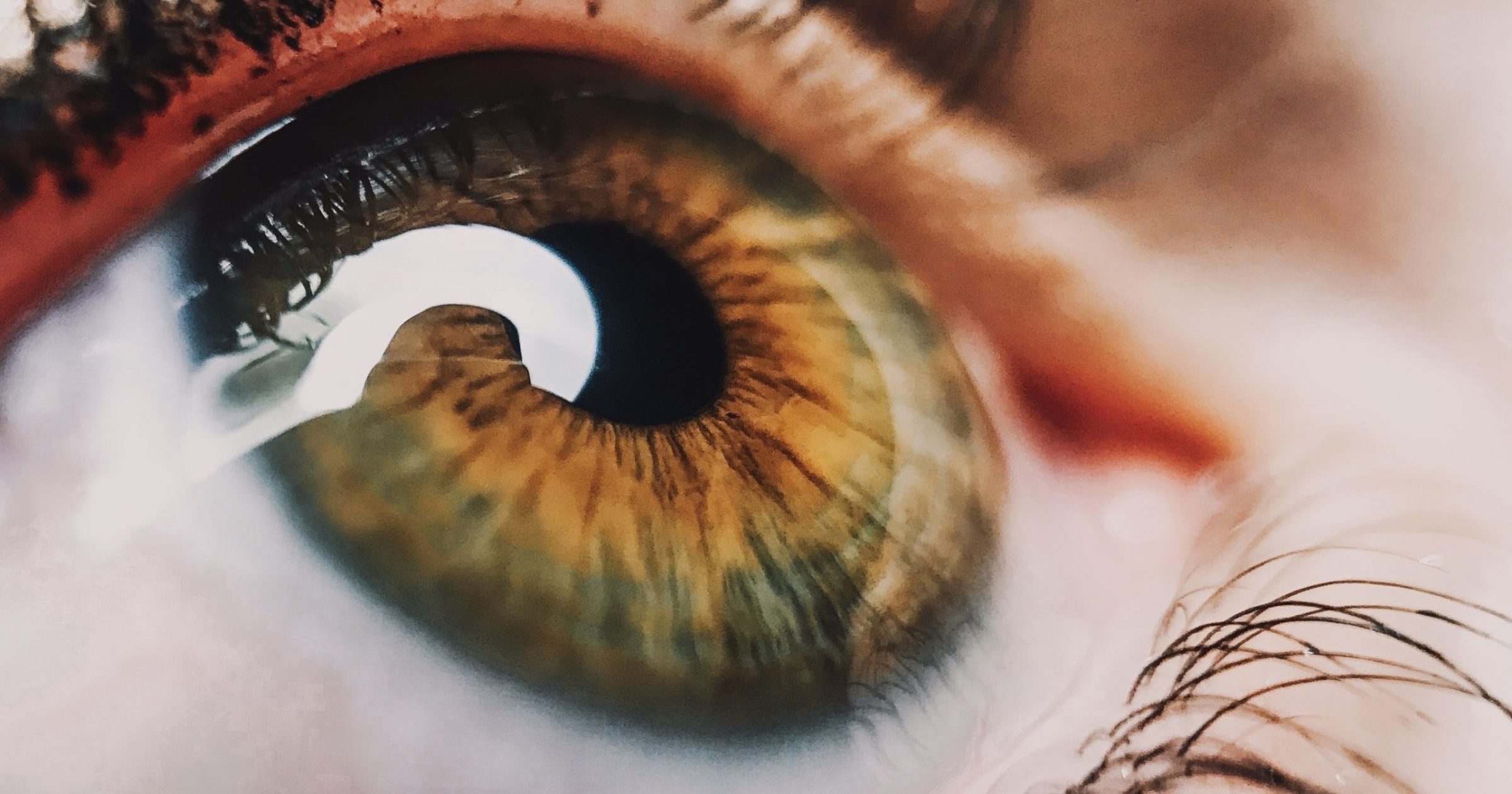 Did Nathan Lents Refute Design? | Science and Culture Today