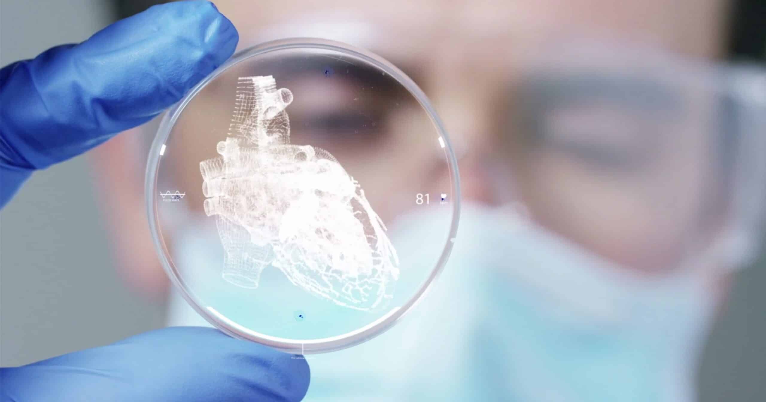 Denton Explains the Miracle of Your Heart | Science and Culture Today