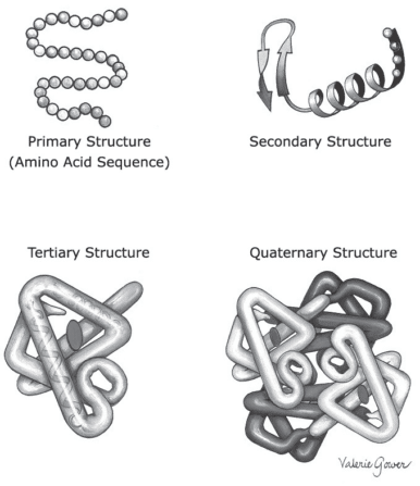 Origin of the First Self-Replicating Molecules | Science and Culture Today