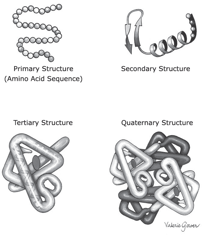 Origin of the First Self-Replicating Molecules | Science and Culture Today