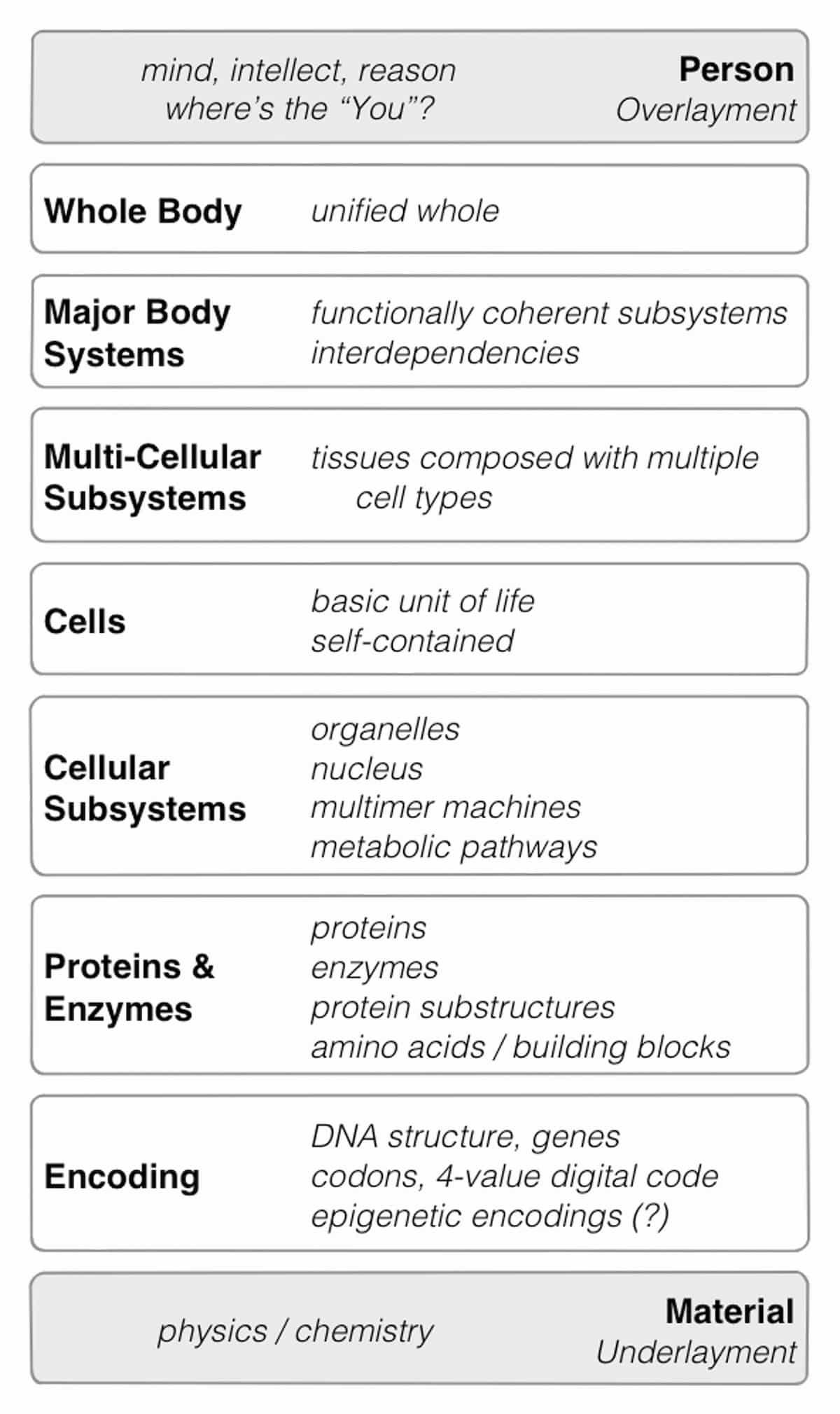 Your Designed Body Is a System of Systems | Science and Culture Today