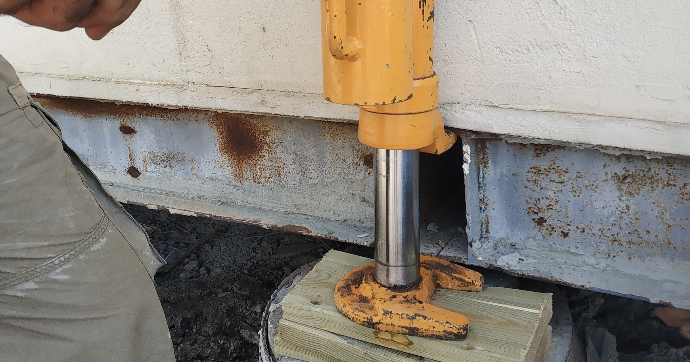 Is Life an Information Ratchet? | Science and Culture Today