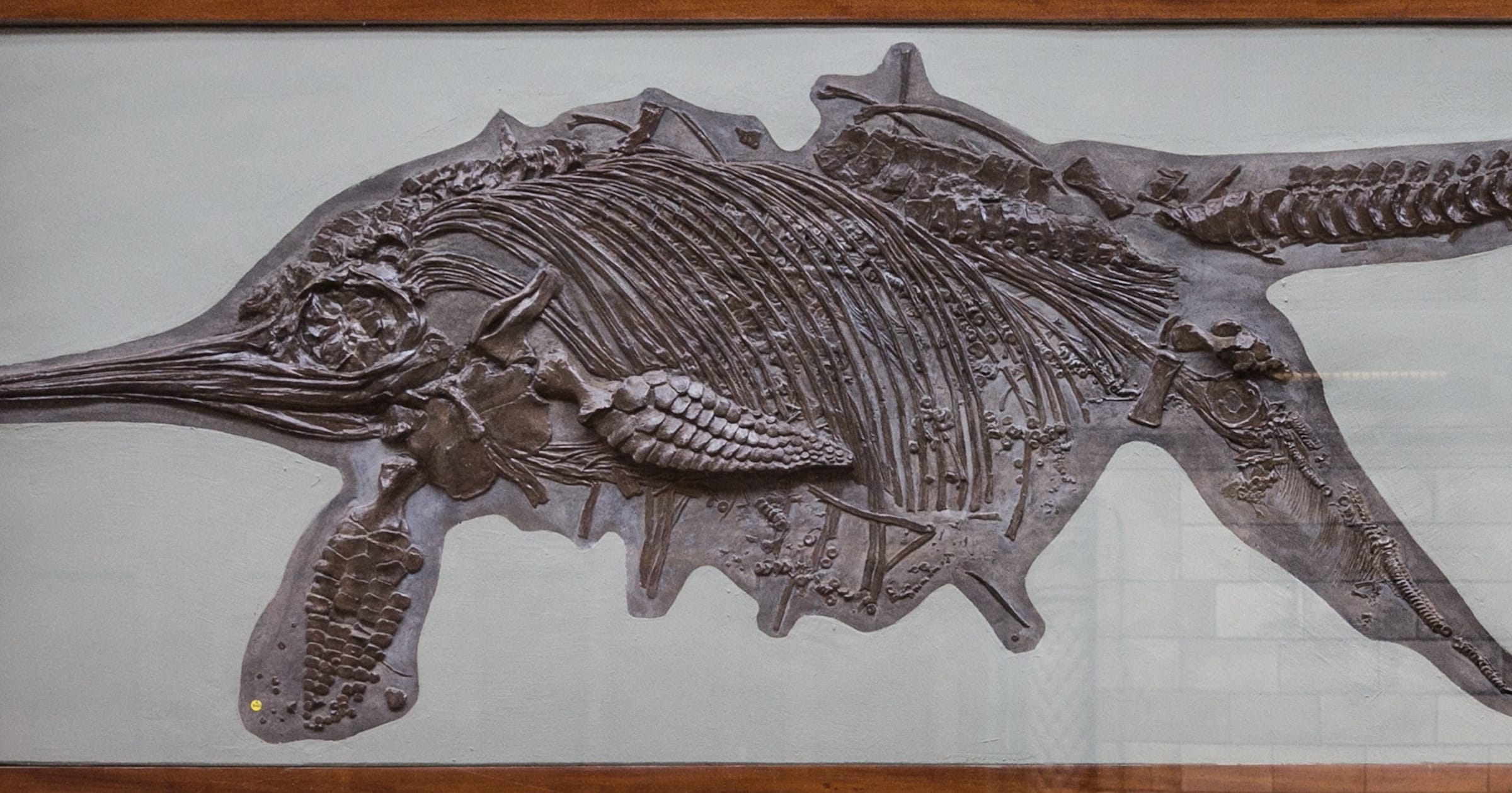 Another Evolutionist Just-So Story Falls Apart | Science and Culture Today