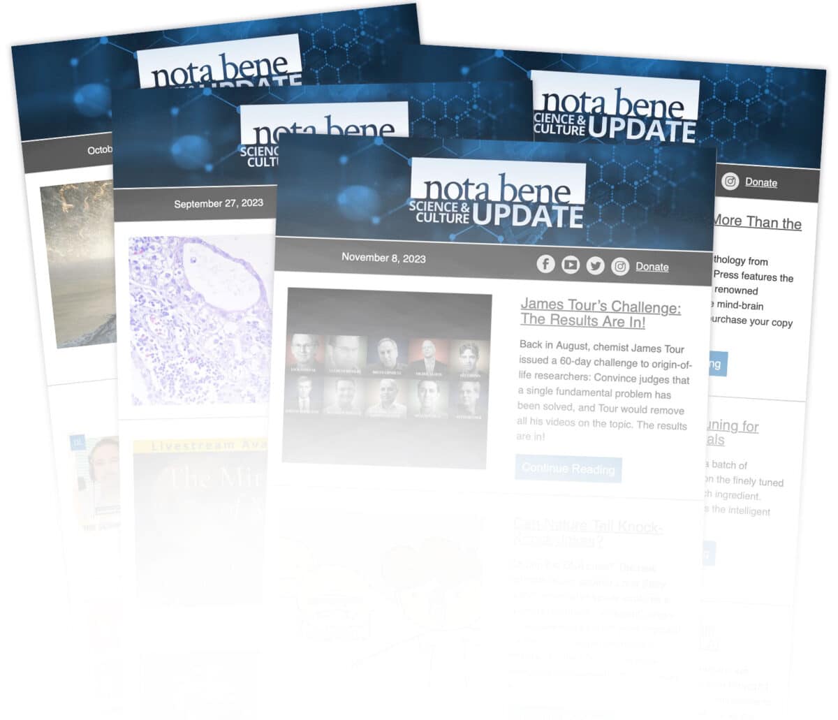 How Life Becomes Comprehensible: A New Scientific Framework | Science ...