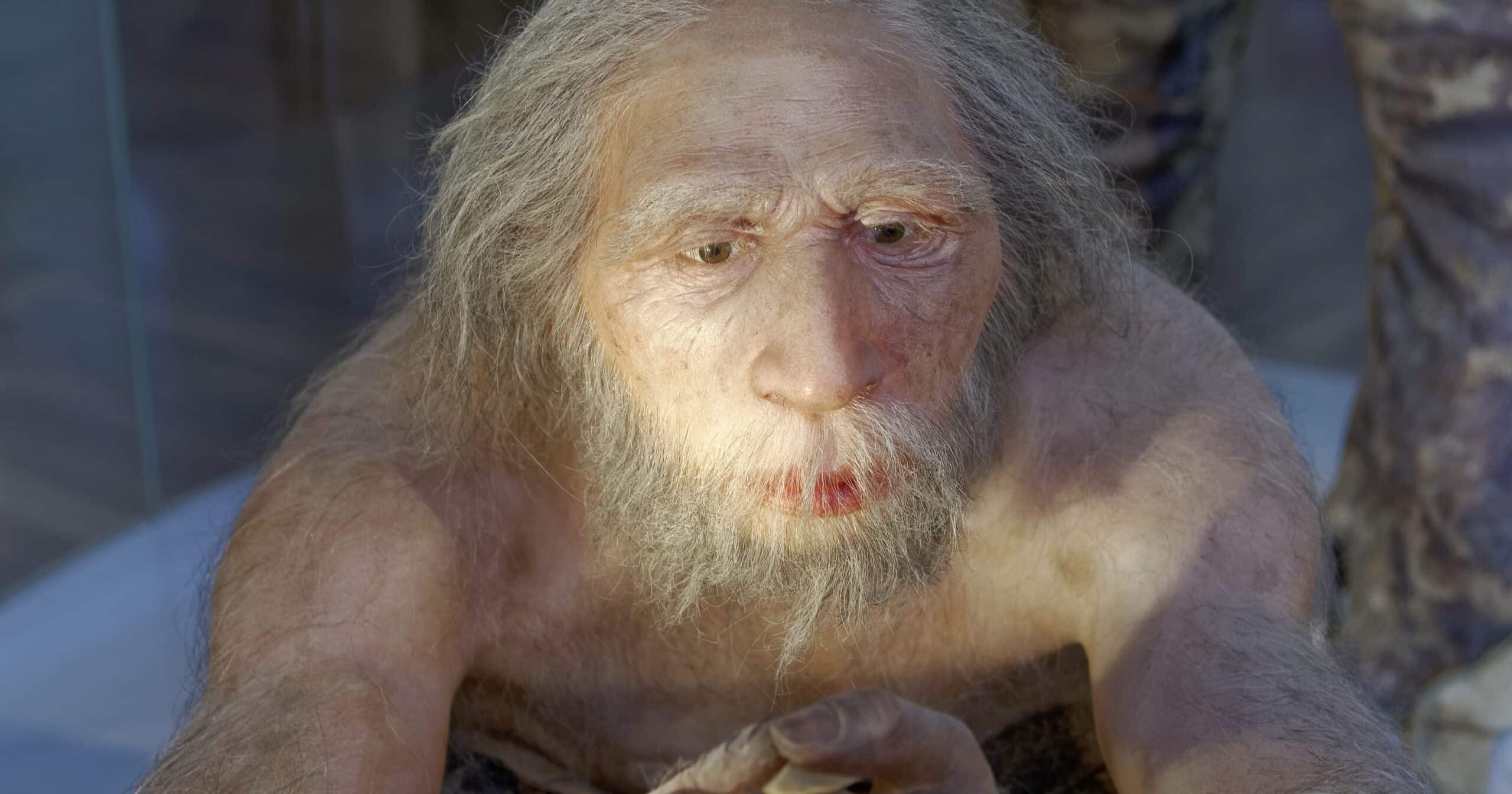 Neanderthals Were a Lot More Like Humans | Science and Culture Today