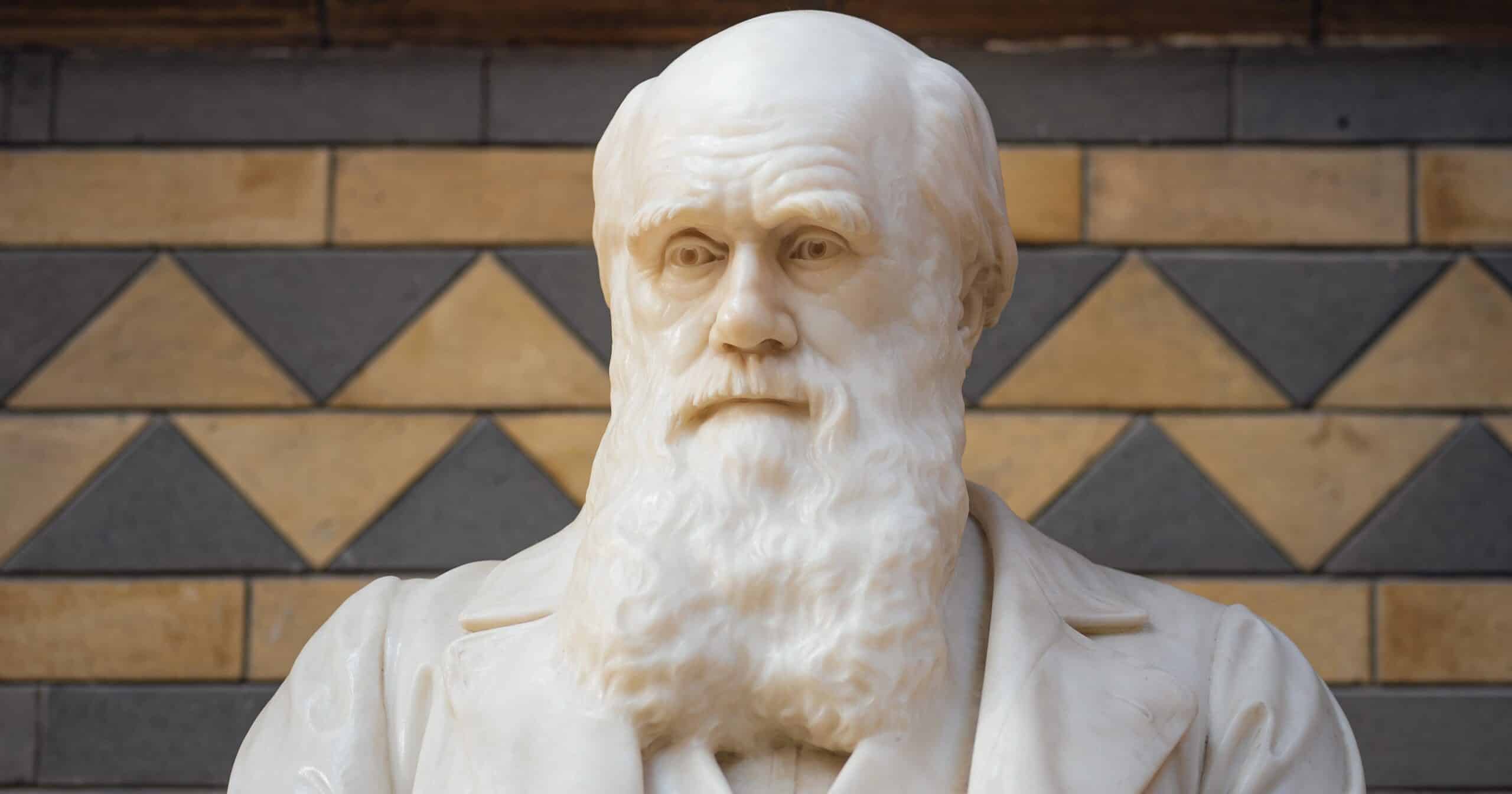 New Book Tries to Debunk Darwin Myths | Science and Culture Today