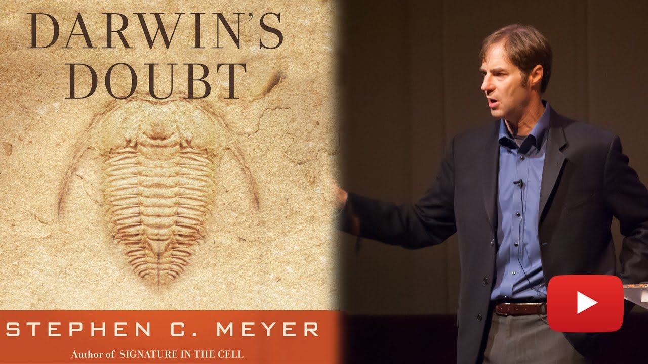Stephen Meyer on the Case for Intelligent Design | Science and Culture ...