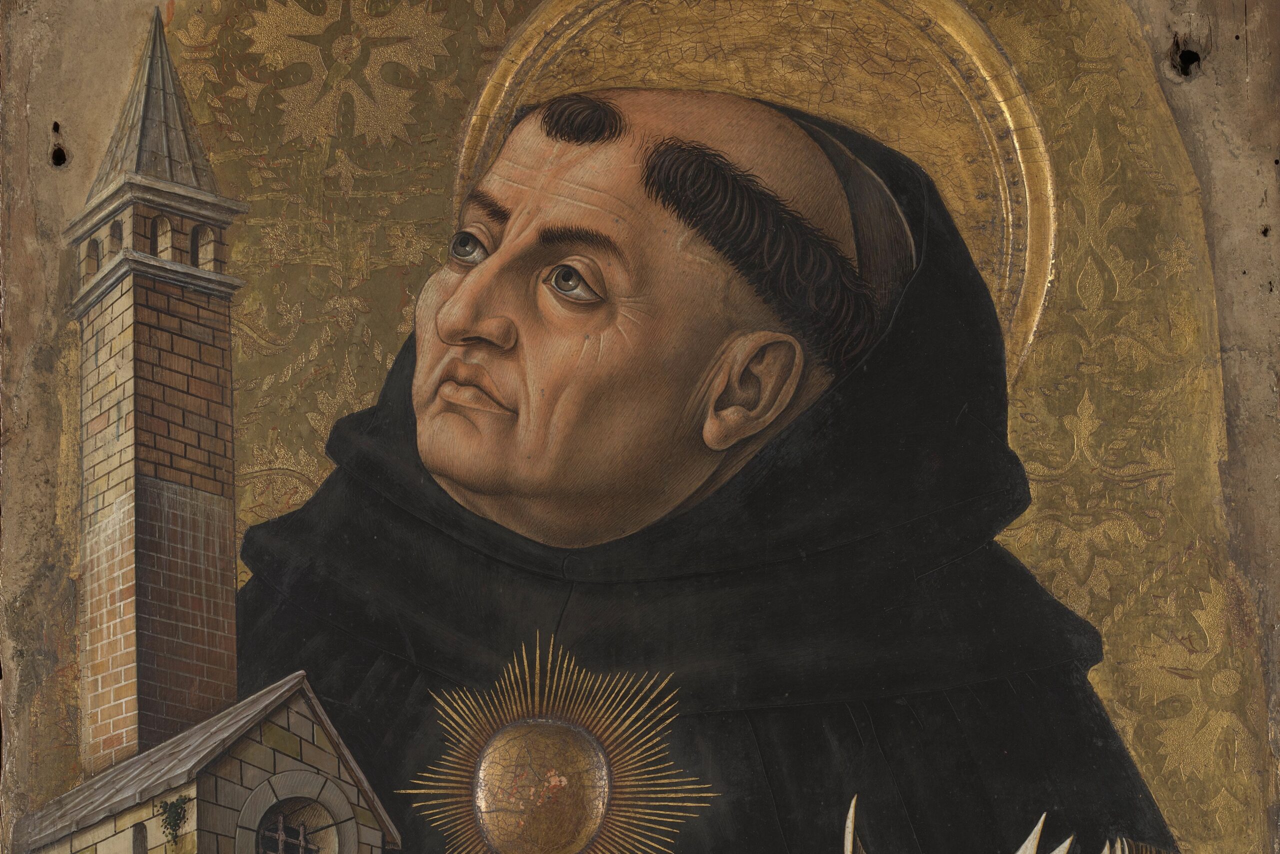 Intelligent Design and Aquinas’ Fifth Way | Science and Culture Today
