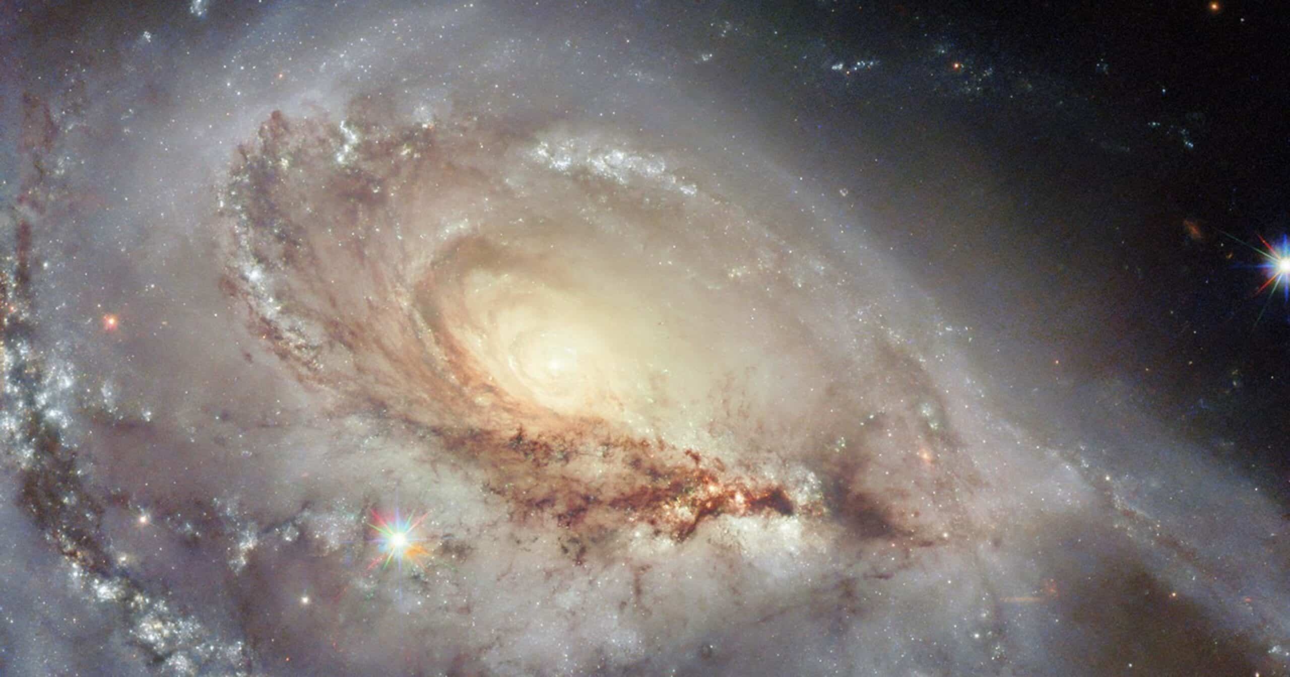 The Purpose of Fine-Tuning | Science and Culture Today