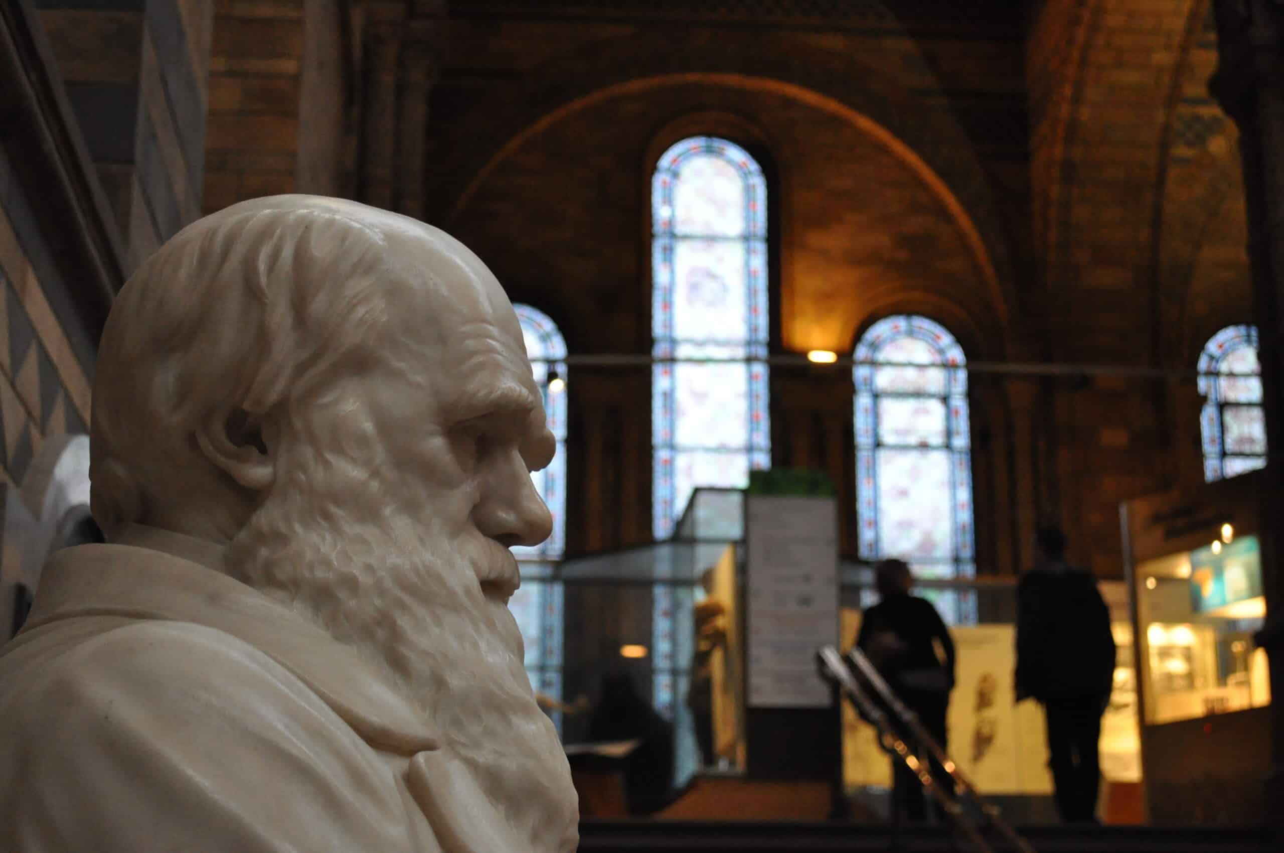 Beyond the Evolution Wars? | Science and Culture Today