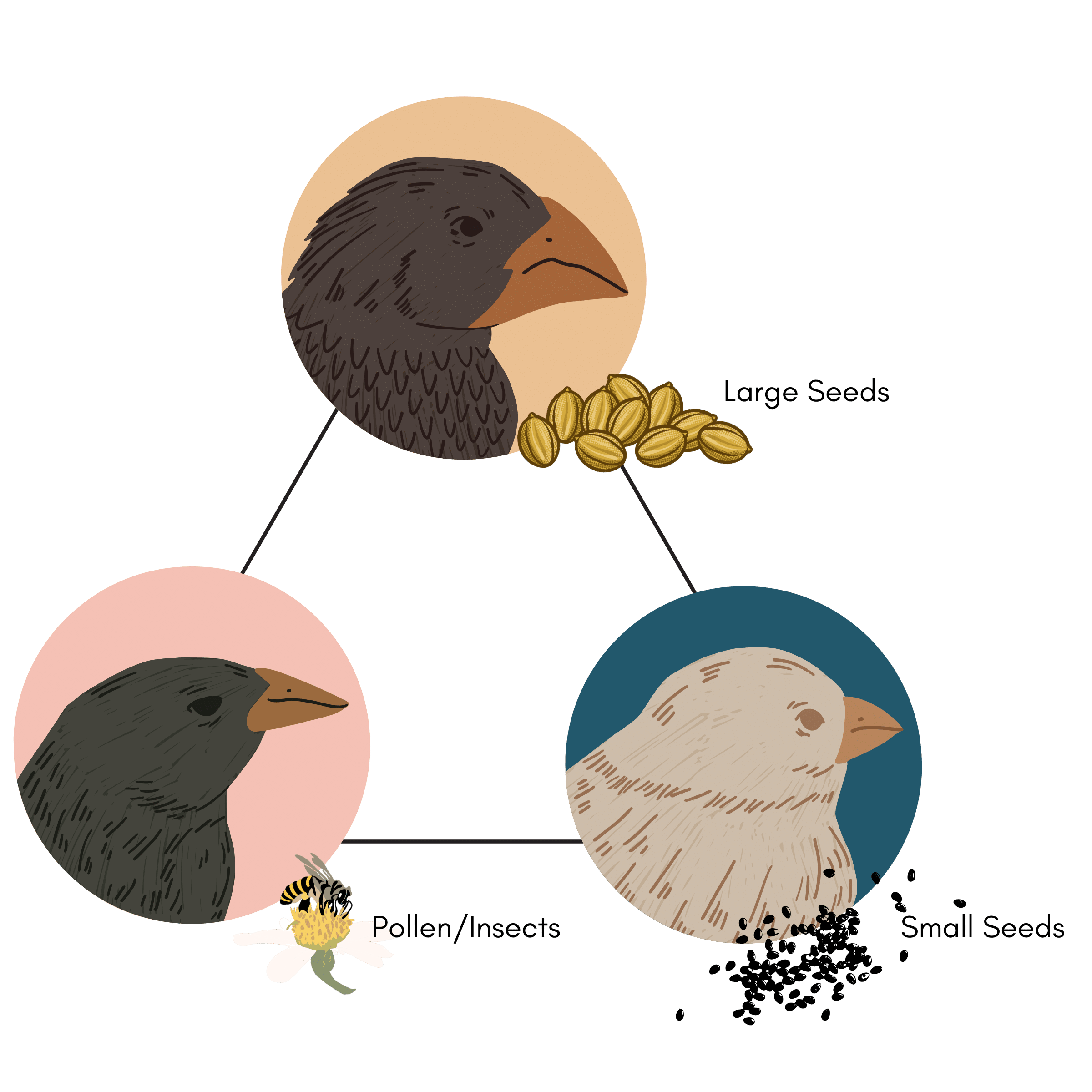 Merry Christmas! No. 8 Story for 2025: Optimization and Evolution ...