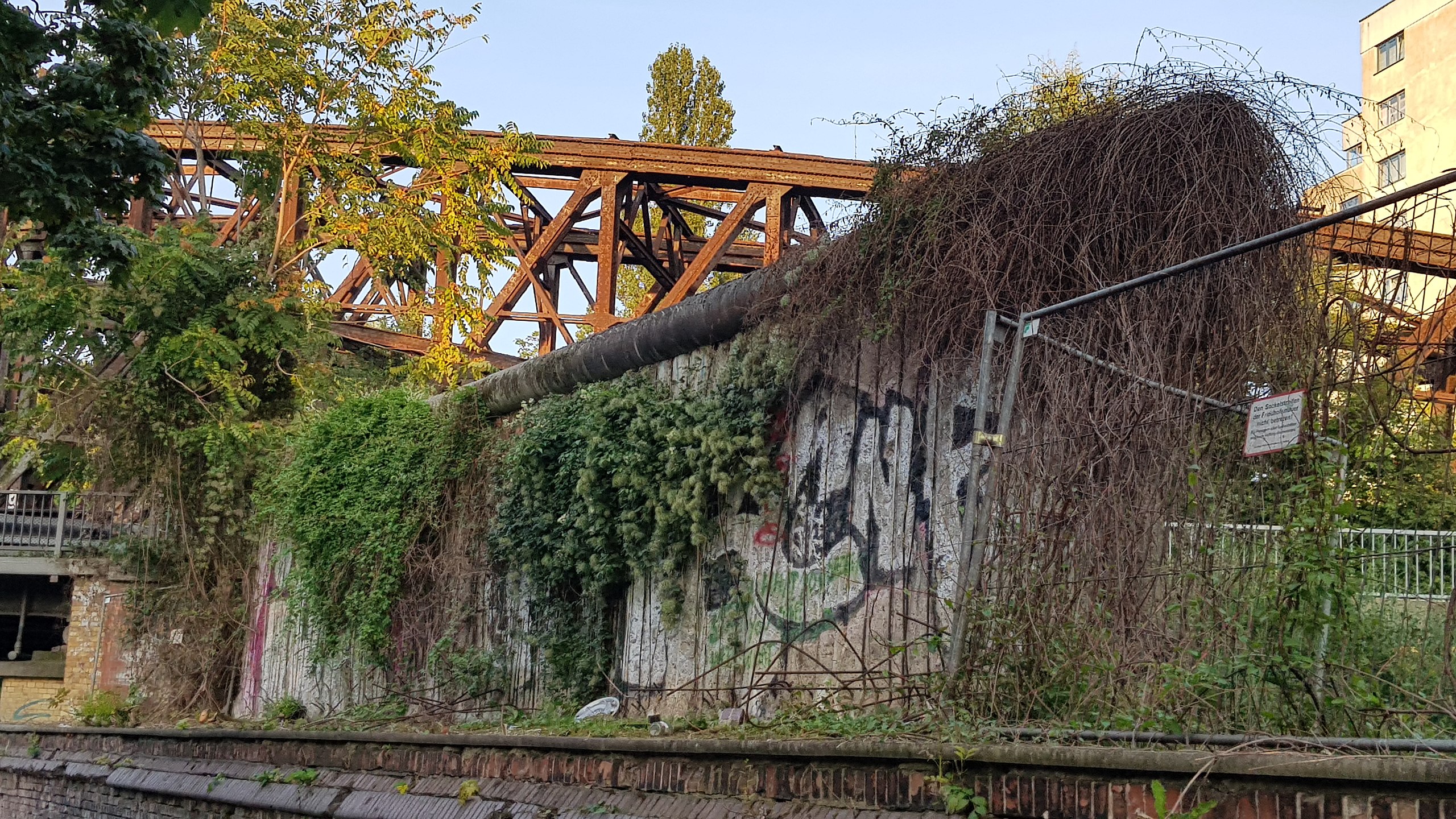 Michael Behe: Why Darwinism Will Eventually Collapse | Science and ...