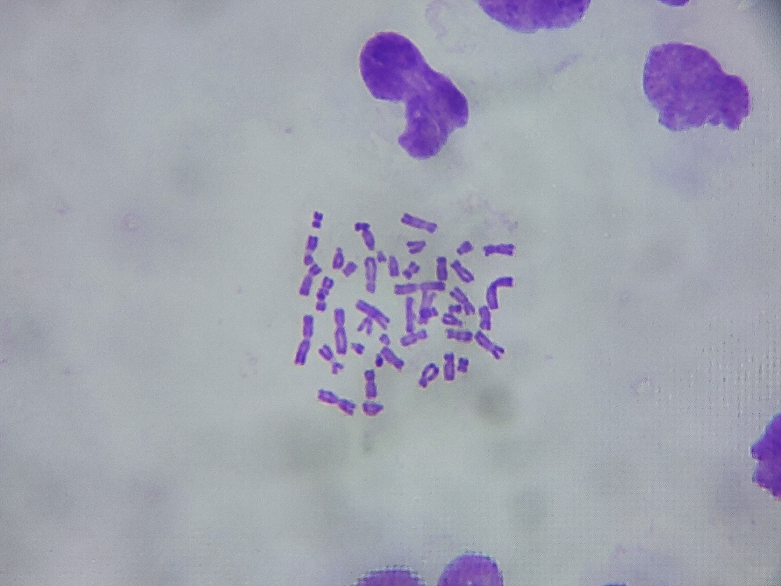 All Evidence Points to Design, but Credit Goes to…You Know What ...