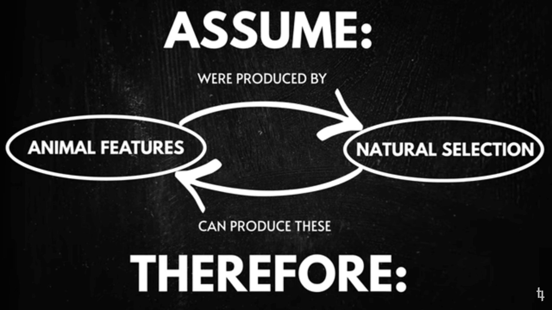 Watch: Brian Miller on Evolution’s Circular Logic | Science and Culture ...