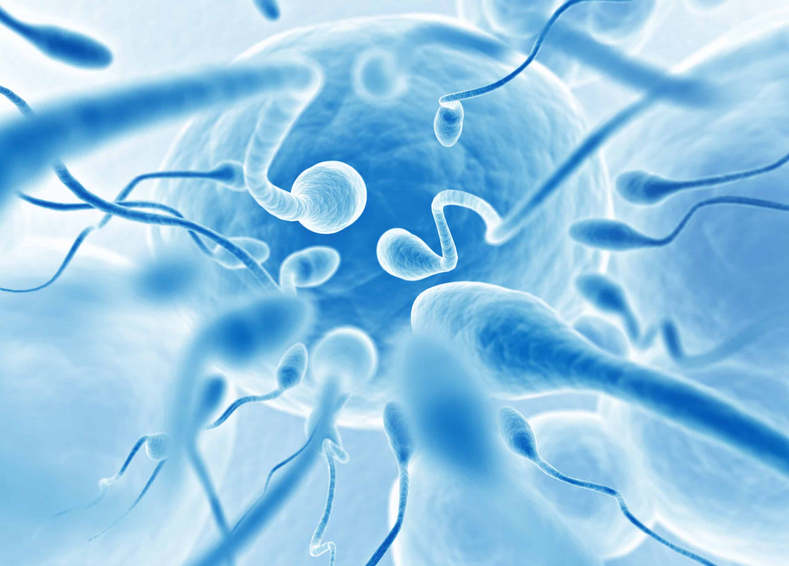 Sexual Reproduction: Engineered for Success | Science and Culture Today