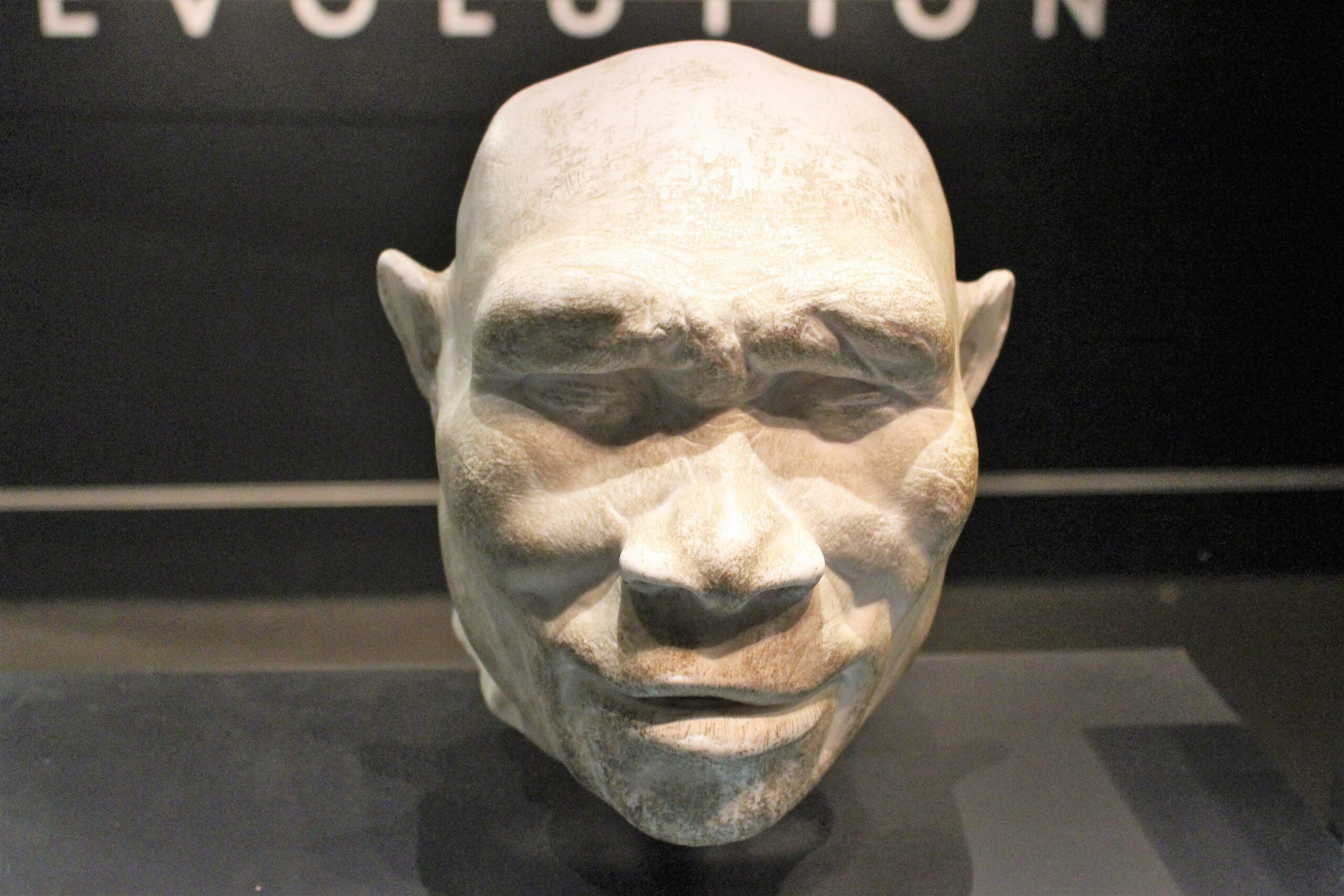 Gulf Between Ape-Like and Human Grows Wider | Science and Culture Today