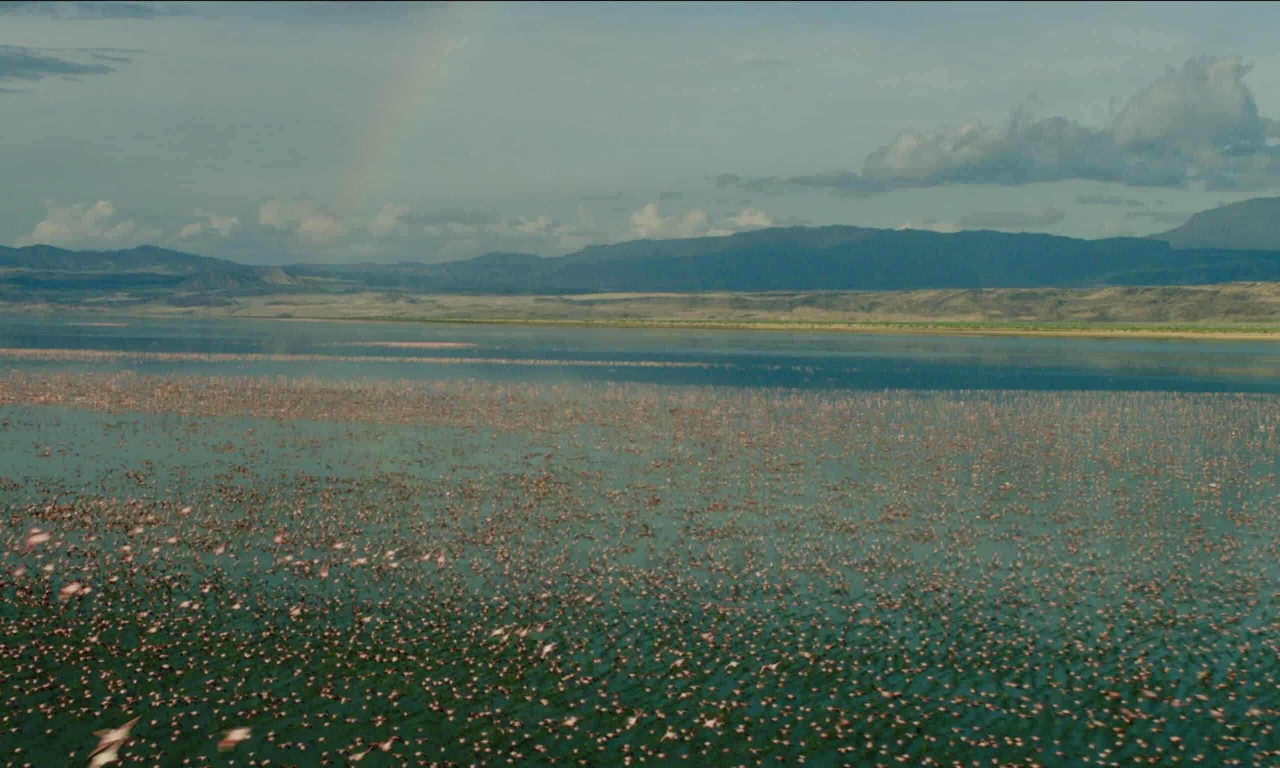 The Two Stories: Design, Materialism, and the Search for Purpose ...